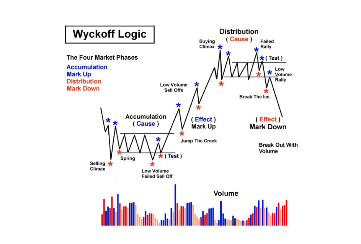 Wyckoff Trading Strategy Explained: Step-by-Step Guide | FX2 Funding